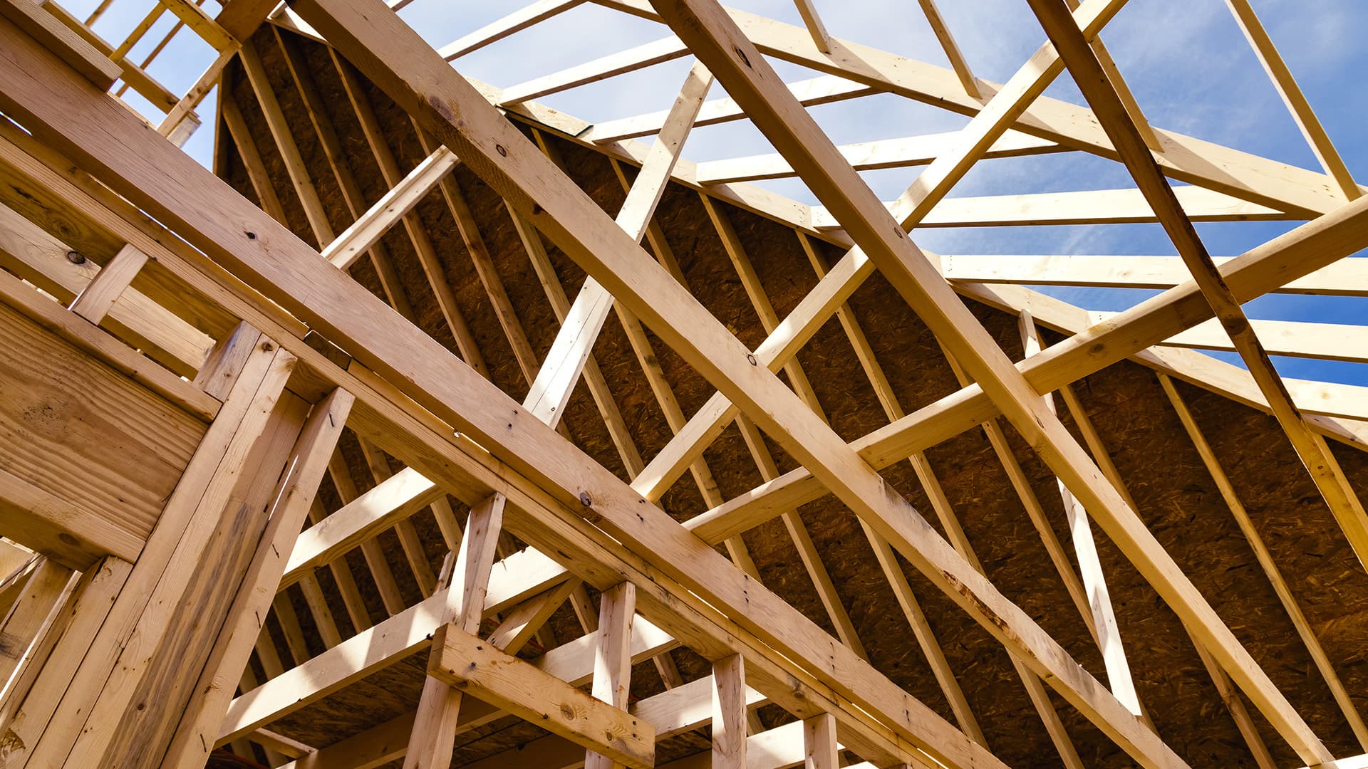Software Test Automation Frameworks All You Need To Know — Executive
