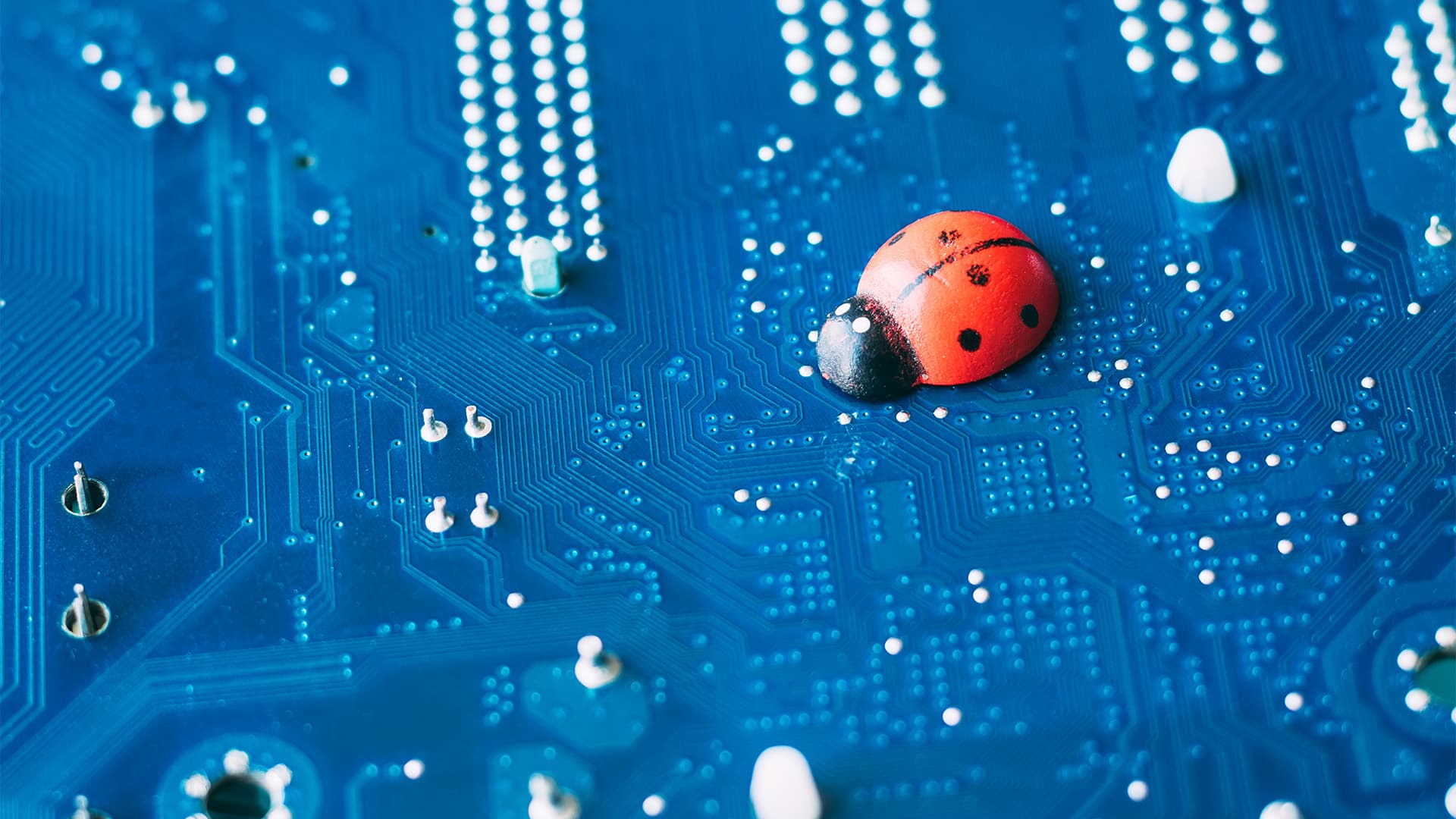 What is bug life cycle in manual testing? — Executive Automats